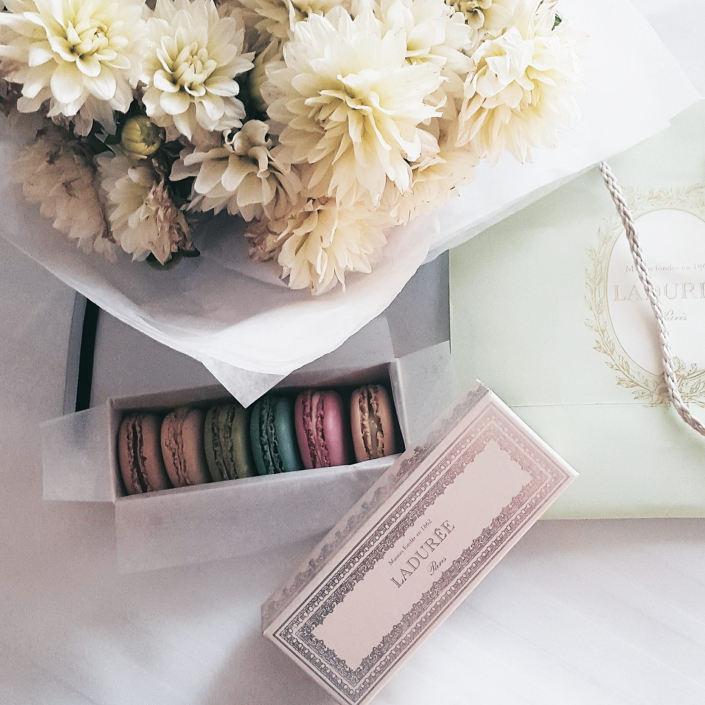 New York Fashion Week – Review - CHAMPAGNE + MACAROONS