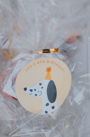 It’s Time to Sound the Alarm! Leo is Four. - CHAMPAGNE + MACAROONS